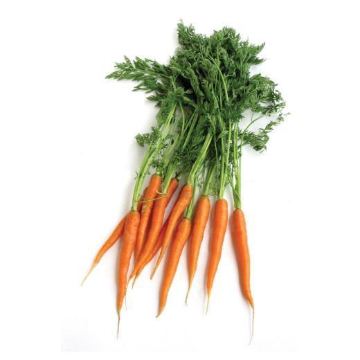 Karotten Bund | Biohof Achleitner