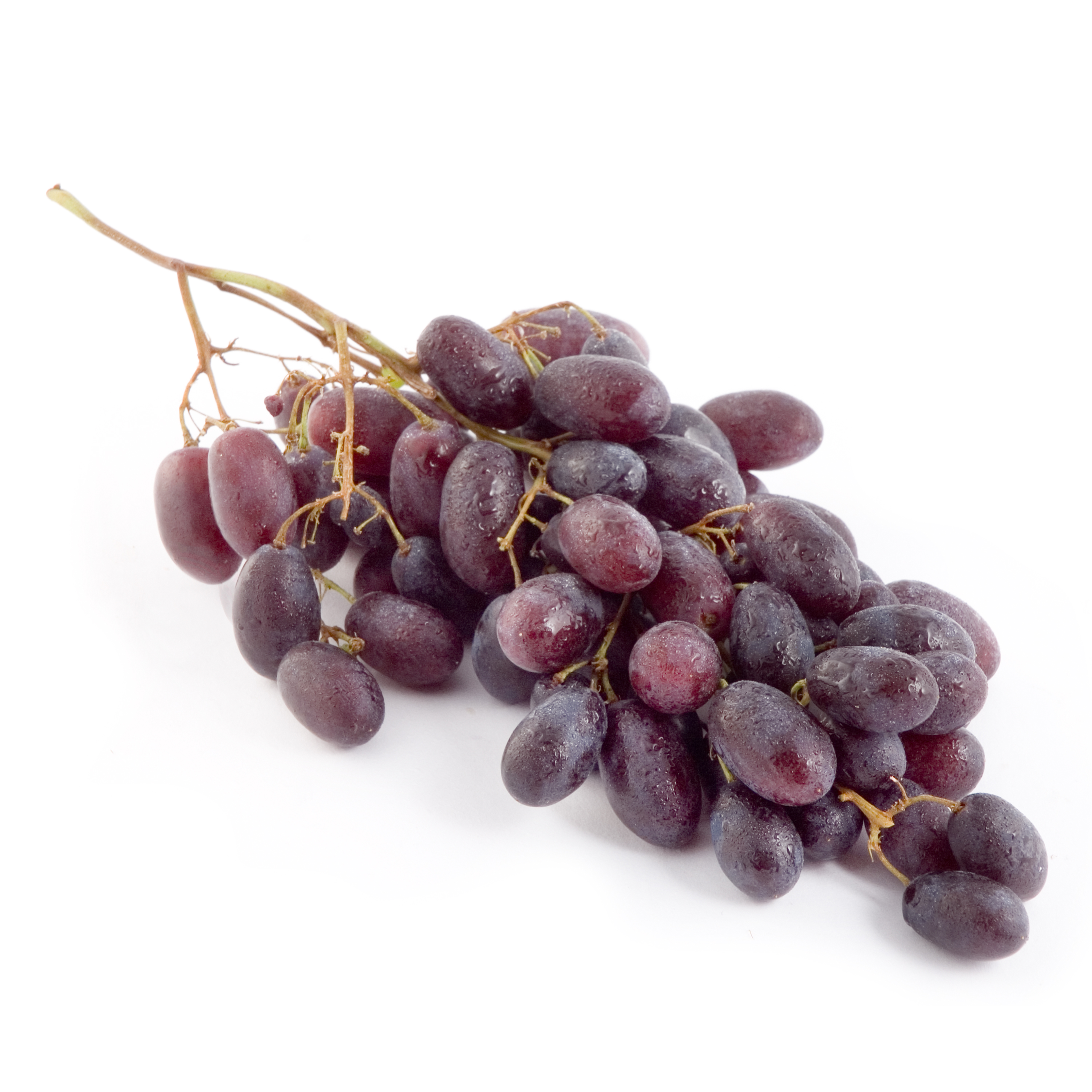 Trauben blau mit Kerne "Red Globe" | Biohof Achleitner