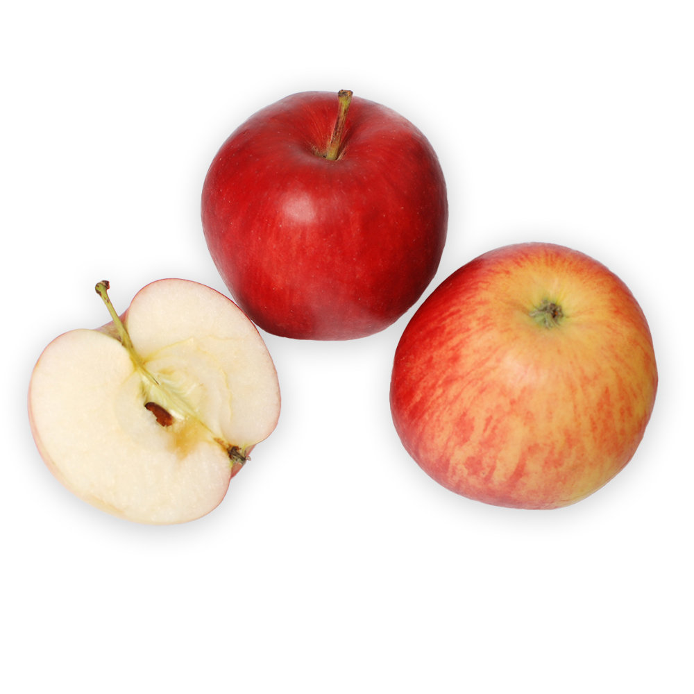 Apfel "Galmac" | Biohof Achleitner