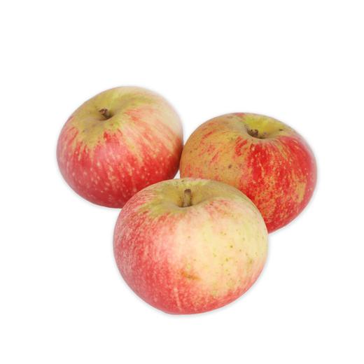 Shop / Themen / Obst & Gemüse aus Österreich - Biohof Achleitner