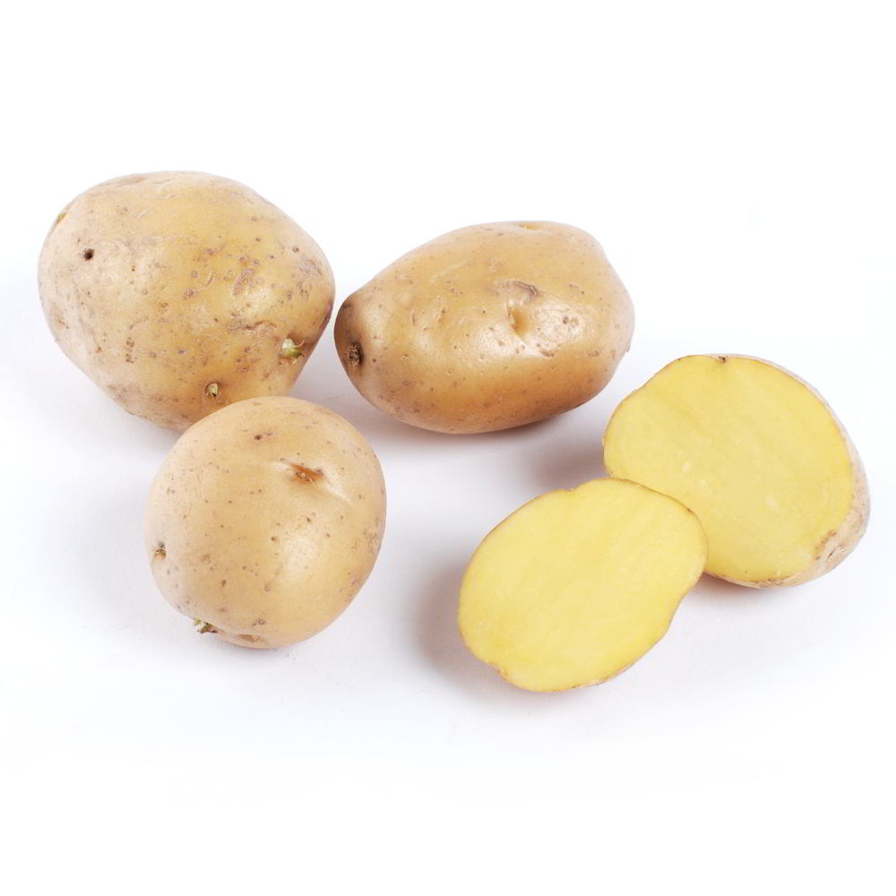 Erdäpfel "Bionta" mk 5kg ungewaschen | Biohof Achleitner